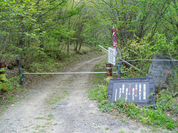 保福寺間連林道保福寺峠側